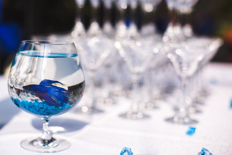Blue Fish in a Glass Vase on the Wedding Table Stock Photo - Image of ...