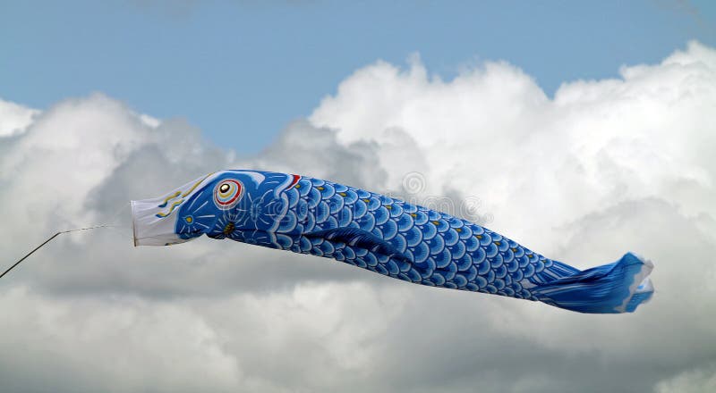 Kite Fish stock photo. Image of flying, yellow, sunny, kite - 884832