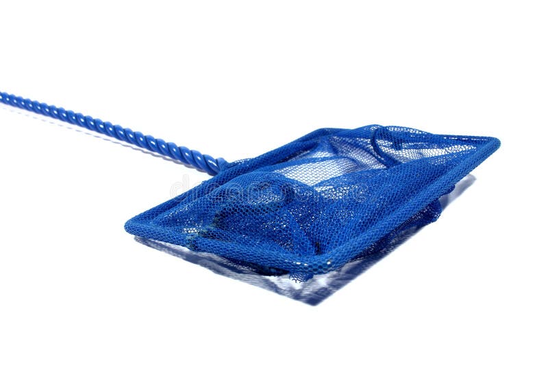 Green Fish Net stock photo. Image of netting, fishing - 26213746