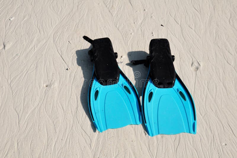 Blue flippers on the beach stock image. Image of black - 24898917