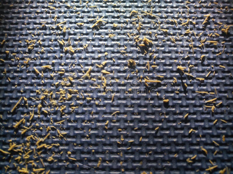 Yellow Dirt from a Male Foot Stock Photo - Image of yellow, male: 105495588