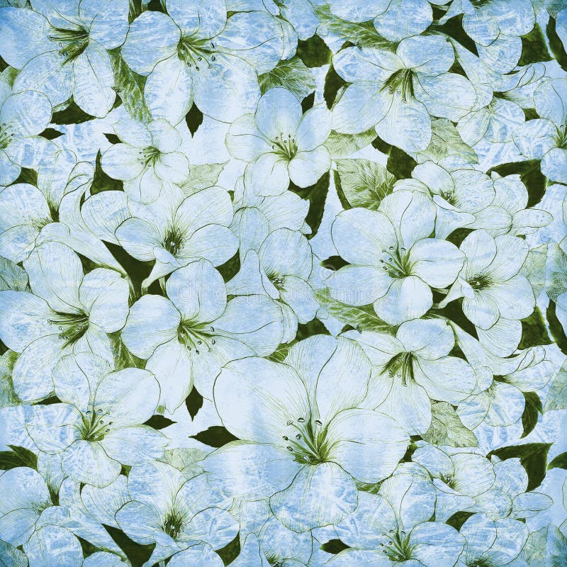 Blue Floral Abstract Background Stock Illustration - Illustration of ...