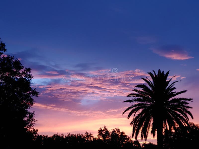 Blue Sky in Florida Everglades Wetlands Stock Image - Image of grass ...