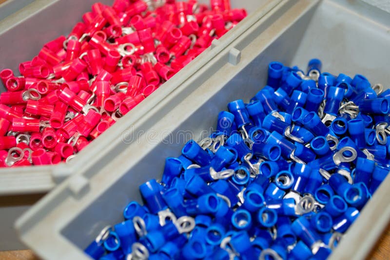 Blue, Flower, Cobalt Blue, Plant Picture. Image: 135689387