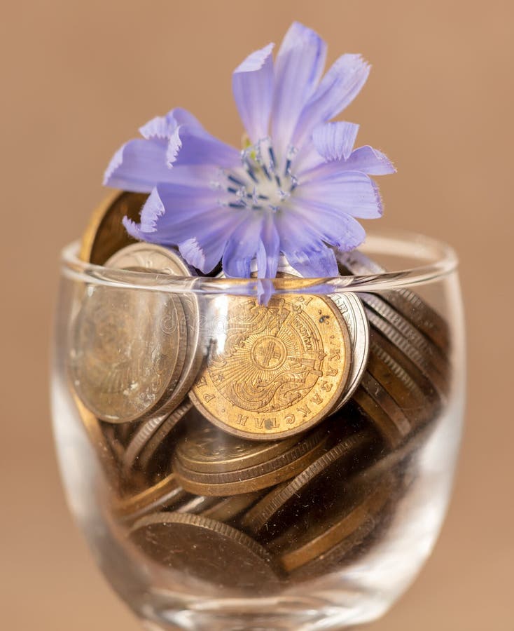 Blue Flower in a Glass Cup with Coins Stock Photo - Image of marble ...