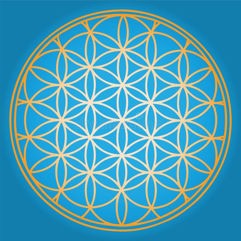FLOWER of LIFE Sacred Geometry Stock Vector - Illustration of platonic ...
