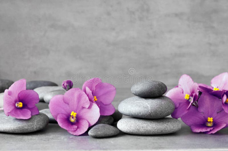 Purple Flower and Stone Zen Spa on Grey Background Stock Photo - Image ...