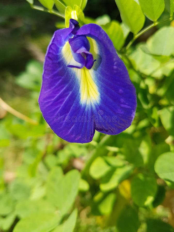 Deep Blue Color Note Stock Photos - Free & Royalty-Free Stock Photos ...