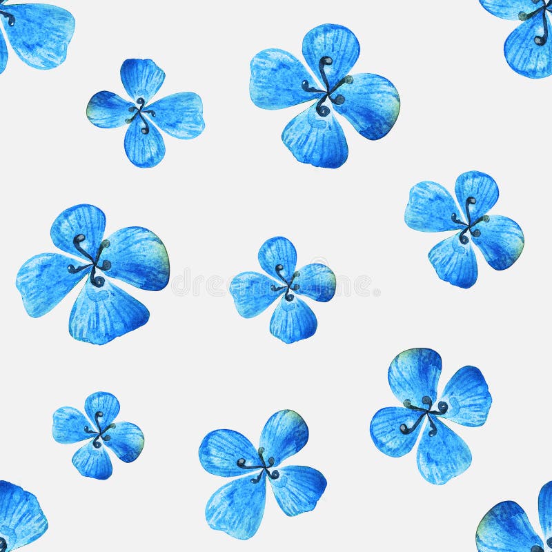 Blue Flower on a White Background. Watercolor Floral Pattern. Stock ...