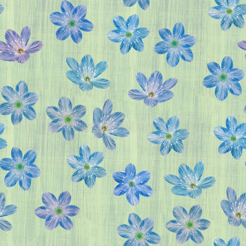 Seamless Botanical Pattern of Blue Flowers. Stock Illustration ...