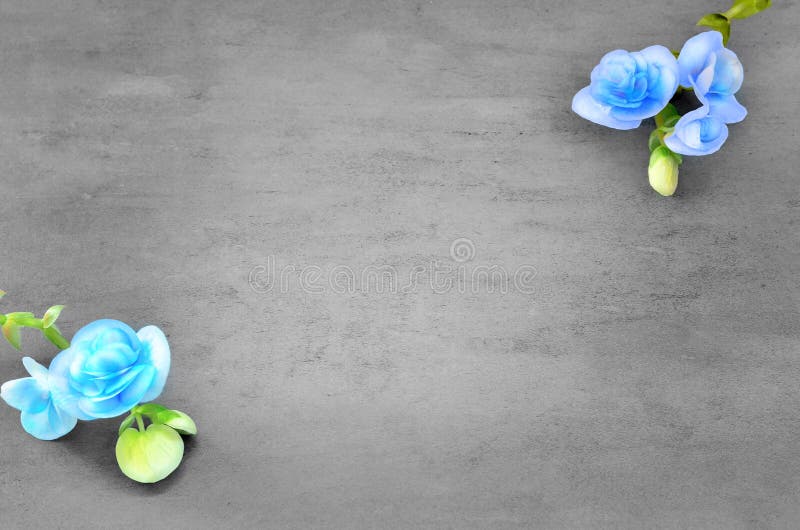 Blue Flowers on Grey Background Stock Photo - Image of color, botanical ...