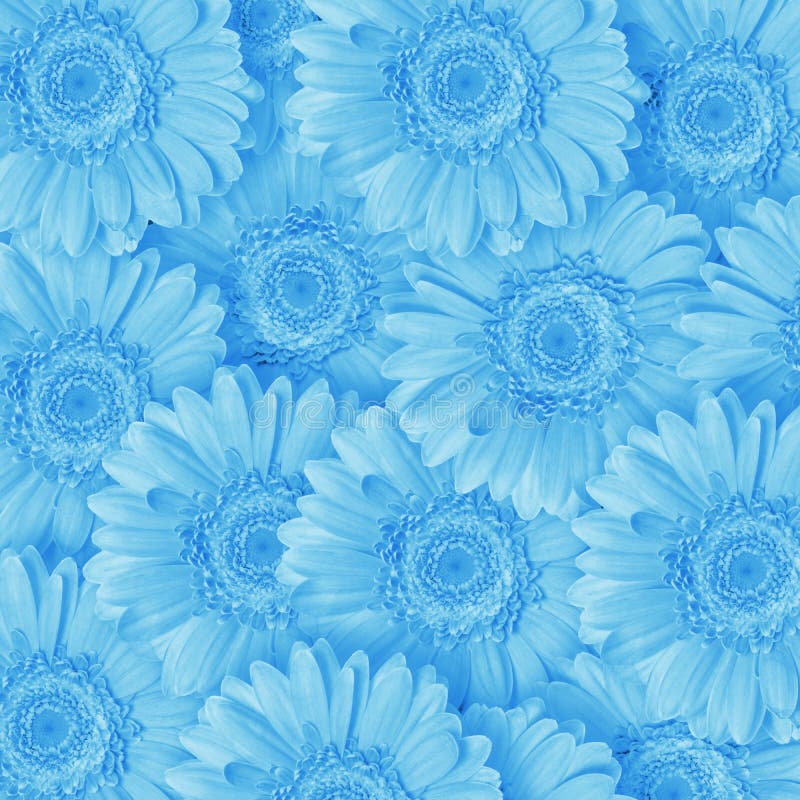 Blue Flowers Pattern Texture Background Stock Image - Image of nature ...