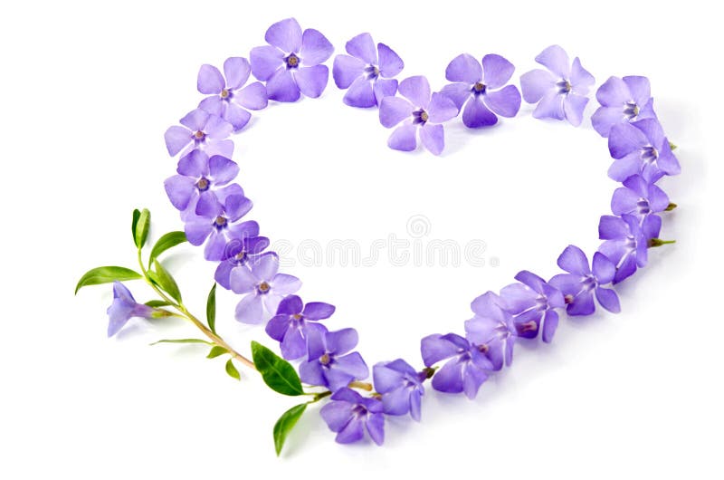 Blue Flowers in a Shape of a Heart Stock Image - Image of invitation ...