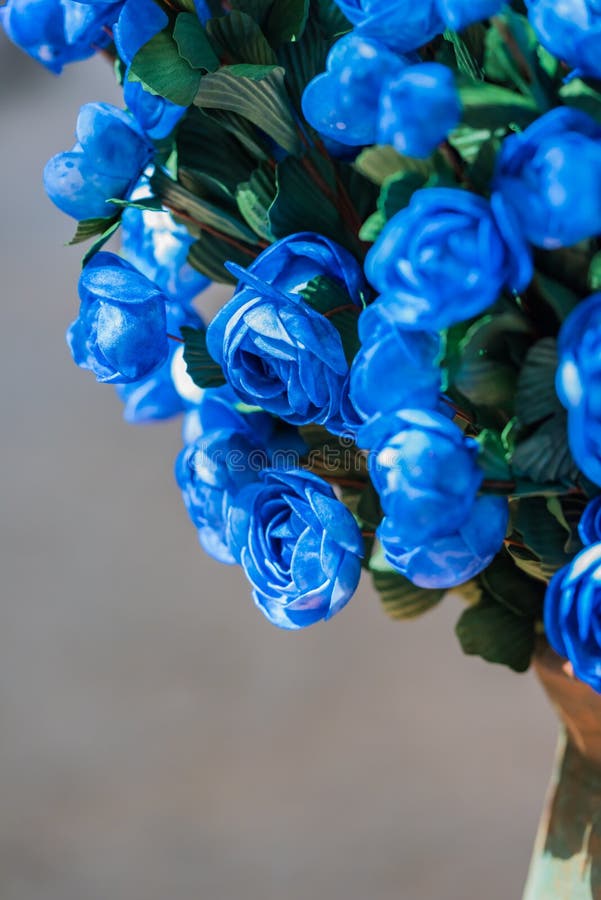 Roses three blue stock photo. Image of environment, blooming - 4857070
