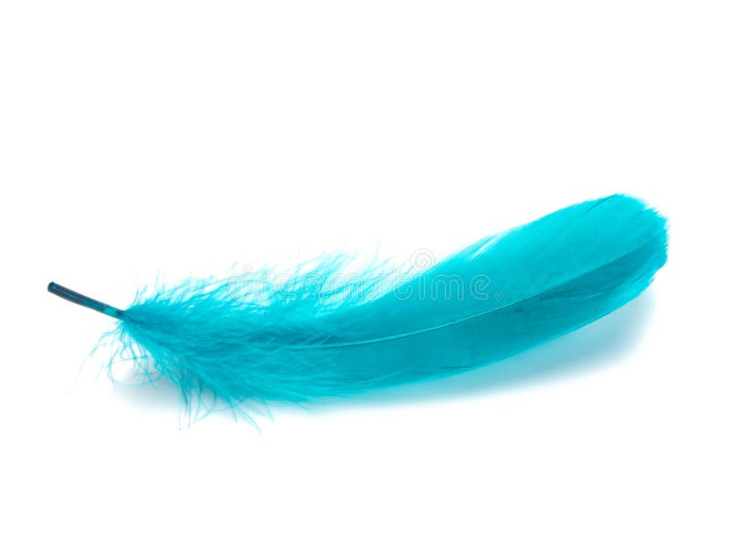 Blue Fluffy Feather Isolated on the White Stock Image - Image of dreams ...