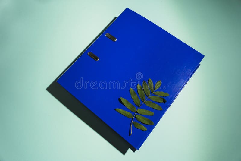 A Blue Folder with Files on a Turquoise Background, Rowan Leaves Stock ...
