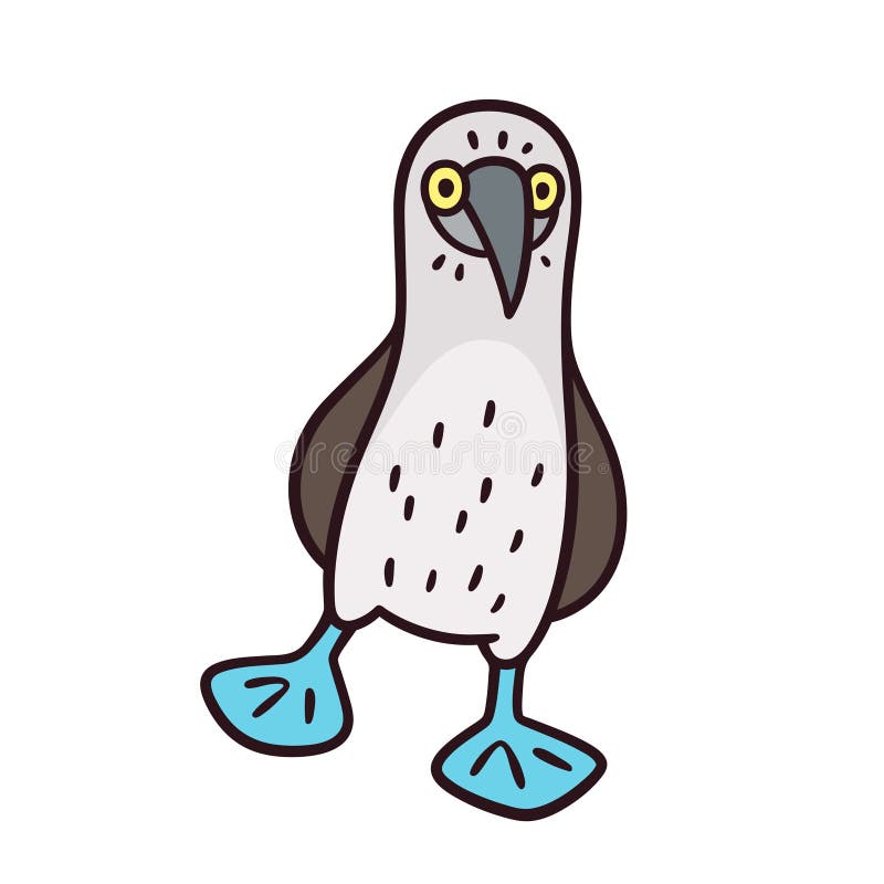 Booby Bird Drawing