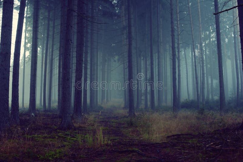 950+ Blue fog light Free Stock Photos - StockFreeImages