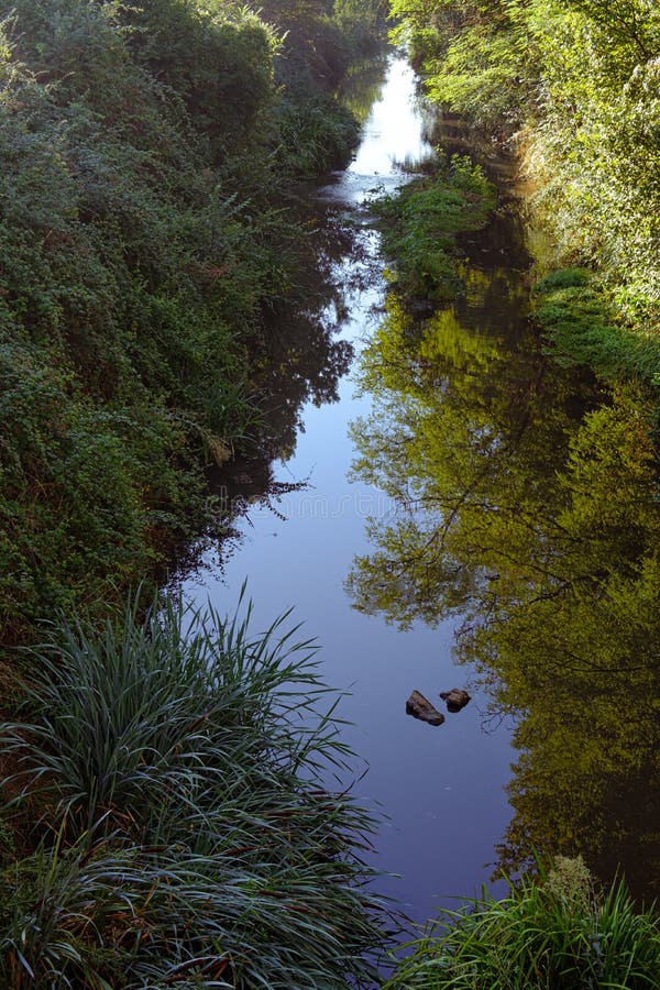 Blue Fresh Spring Water River Stream Landscape Surrounded by Green ...