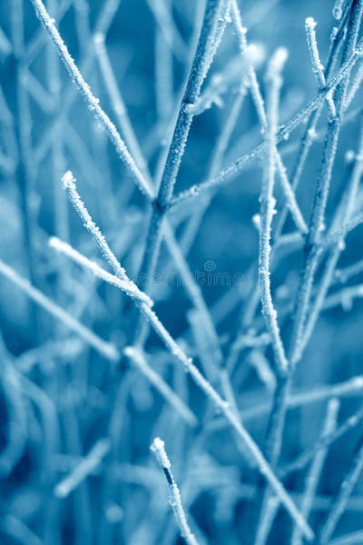 Blue Frost Texture stock photo. Image of color, concept - 384574