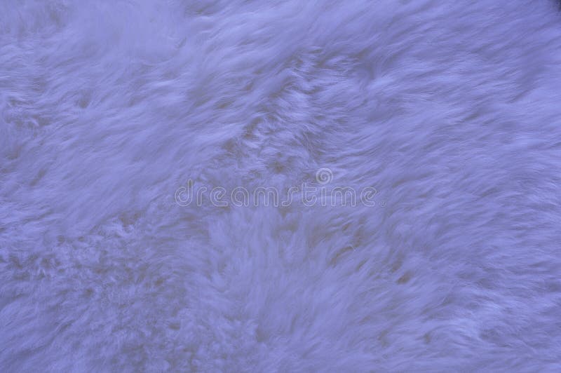 Blue fur stock image. Image of background, soft, blue - 12805501