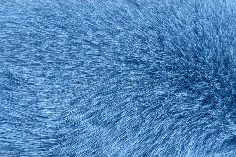 Light Blue Fur Texture. Fur Background. Stock Image - Image of design ...