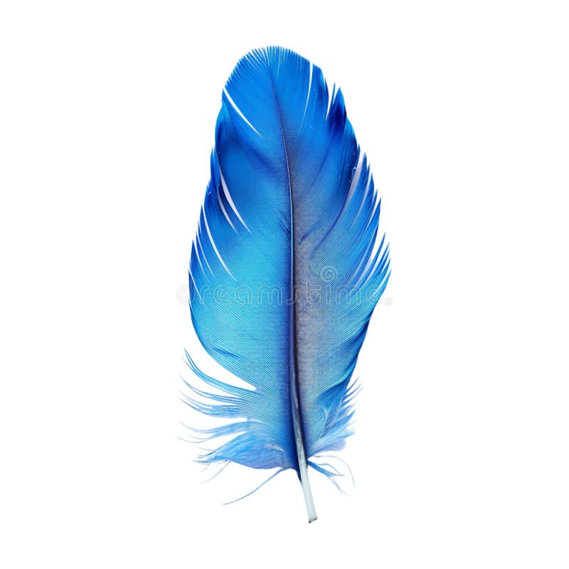 Blue Fur Leaf on Transparent Background - Ai Generated Stock ...