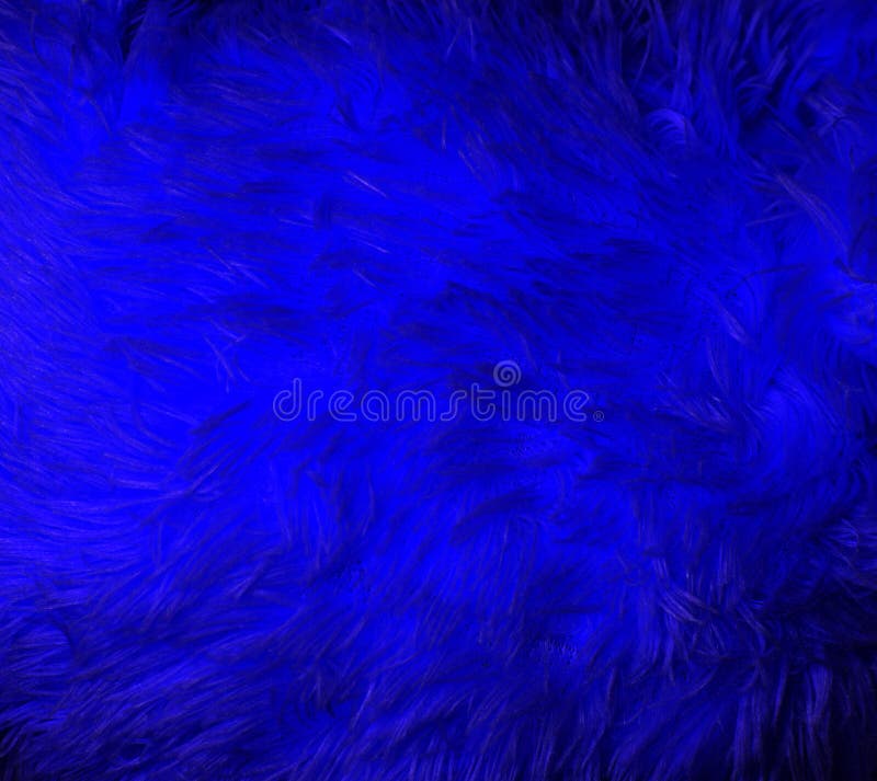 Blue fur macro stock image. Image of fluff, coat, craft - 40665425