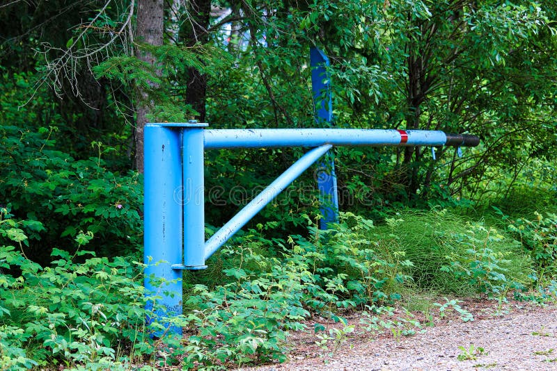 A Blue Gate Barrier Near a Forest Stock Image - Image of security ...