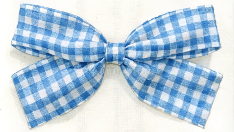 Blue Gingham Bow Fabric Texture and Knot Detail Stock Illustration ...