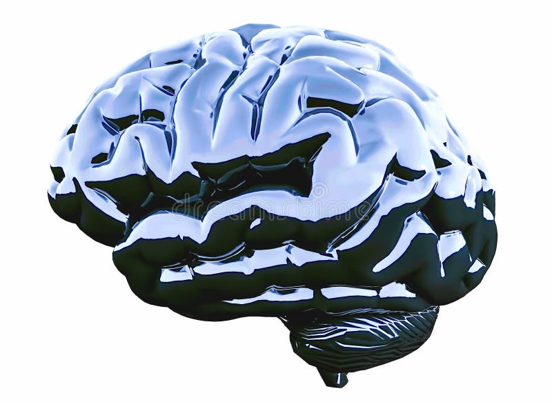 Blue Glossy Brain on White Background. 3D Illustration Stock ...