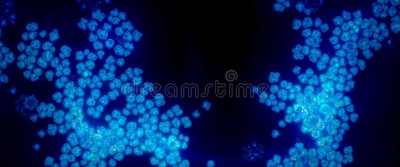 Blue Glowing Clusters Illuminating a Dark Background in an Abstract ...