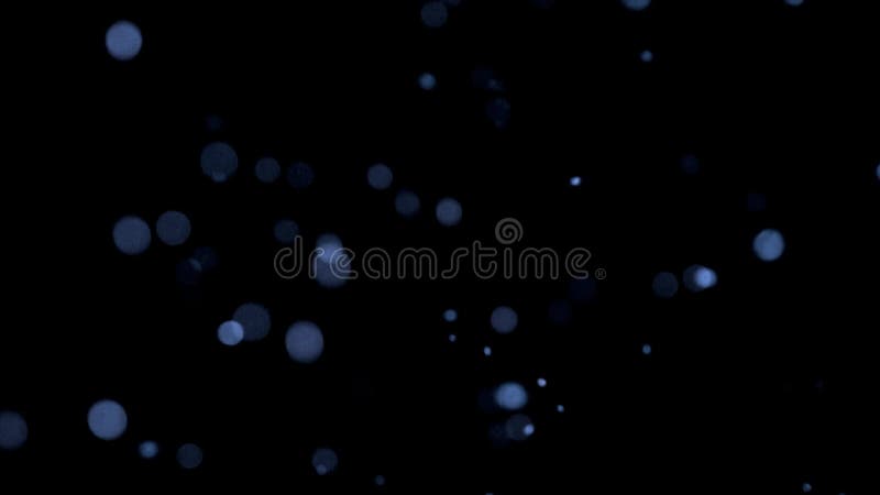 Blue Glowing Flying Embers Burning on Black Background. Stock Footage ...
