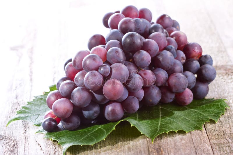Blue Grape Fruit On The Tree Stock Image - Image of nature, color ...
