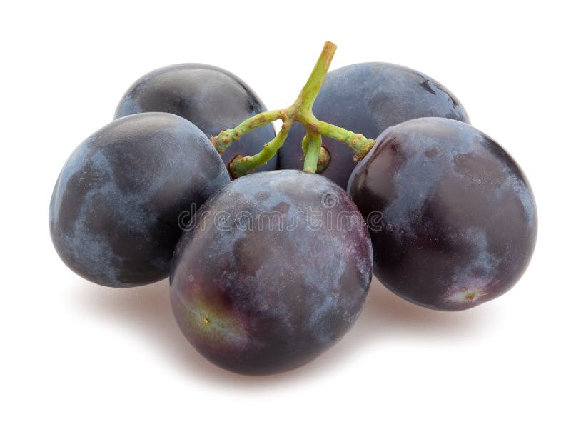 Blue grape stock photo. Image of blue, fresh, healthy - 211872812
