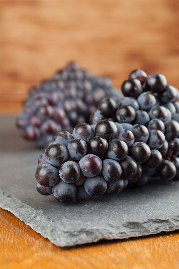 Blue Grape Clusters on Slate Board Stock Image - Image of cluster ...