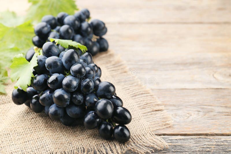Blue grape stock photo. Image of group, health, ingredient - 102374534