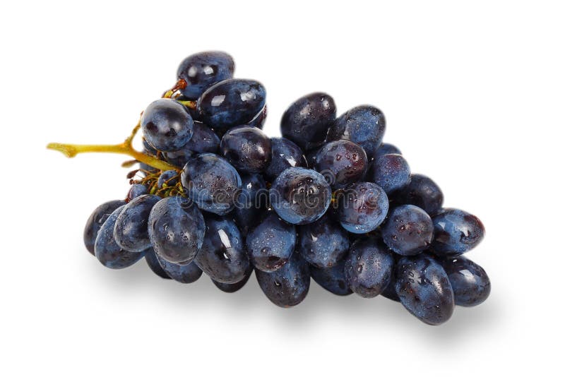 Blue grape stock image. Image of food, agriculture, isolated - 47045191