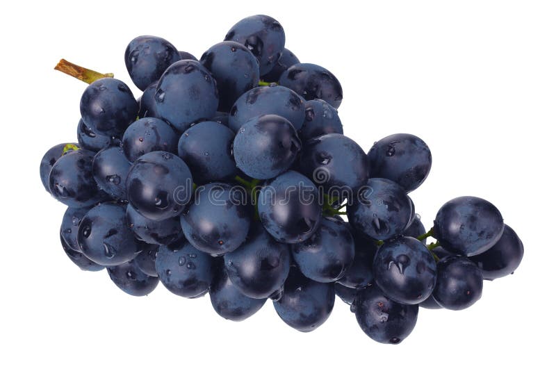 Blue Grape Isolated on a White. Food Stock Photo - Image of grape, blue ...
