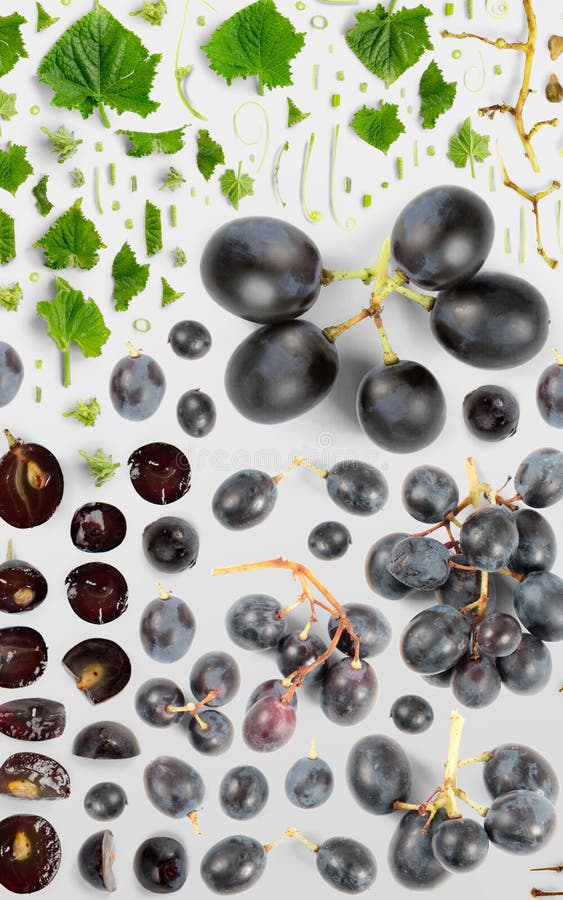 Blue Grape Slice and Leaf Collection Stock Photo - Image of natural ...