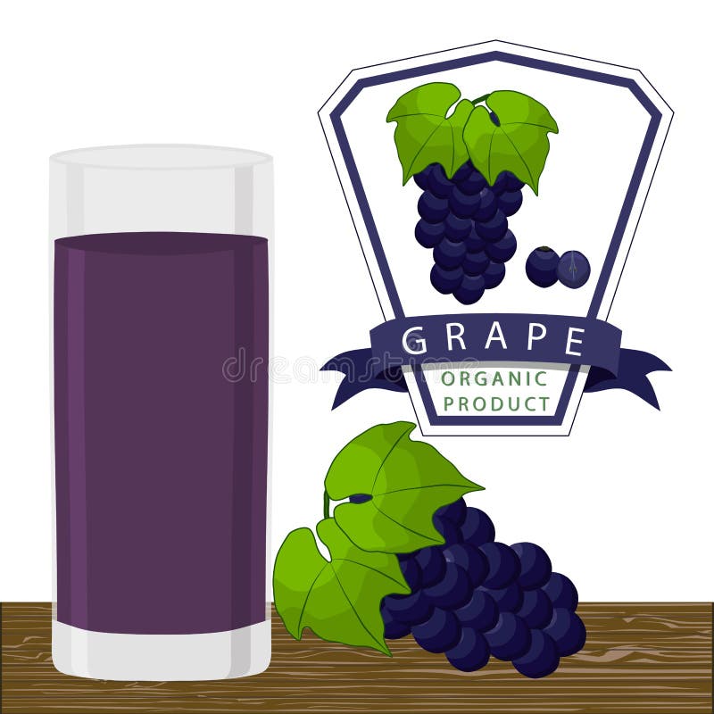 The blue grape stock vector. Illustration of orchard - 93866141