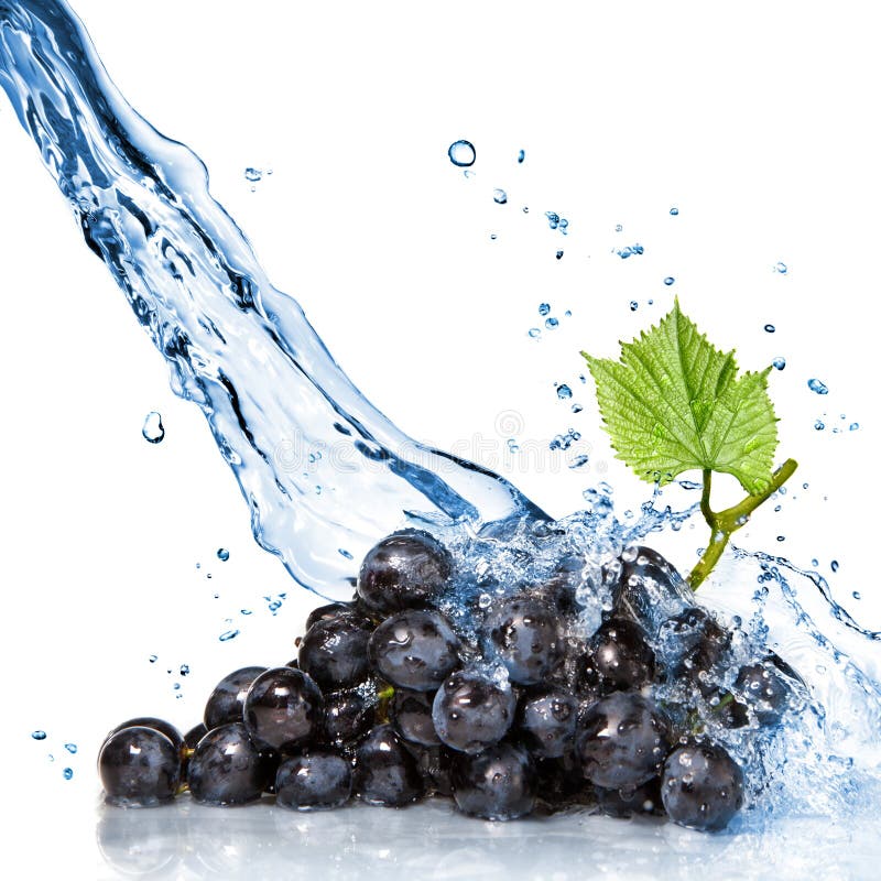 Blue grape with water stock image. Image of natural, cold - 16221205