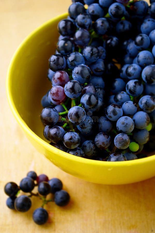 Blue grapes stock photo. Image of meals, natural, ingredient - 20814222