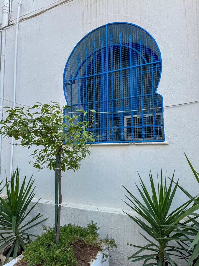 Blue Grated Window and Garden Elements in Whitewashed Wall Stock Image ...