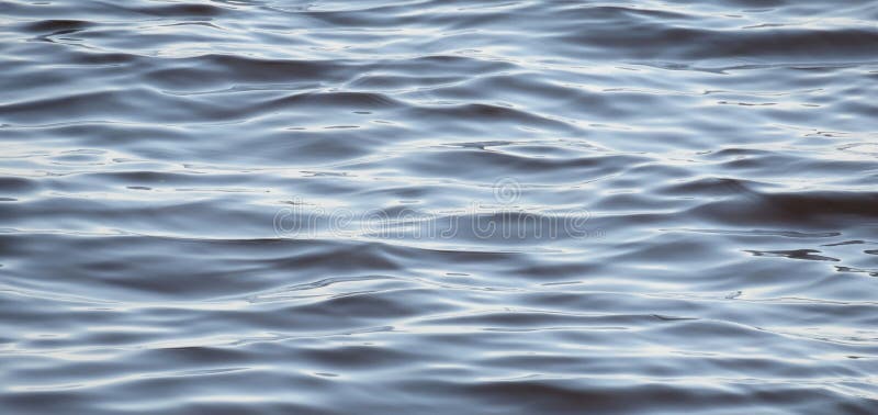 Blue Gray Water Background Texture Soft Waves Florida Nature Stock ...