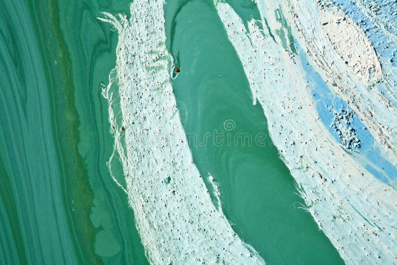 Blue-green Algae on a Lake in Denmark Stock Photo - Image of ...