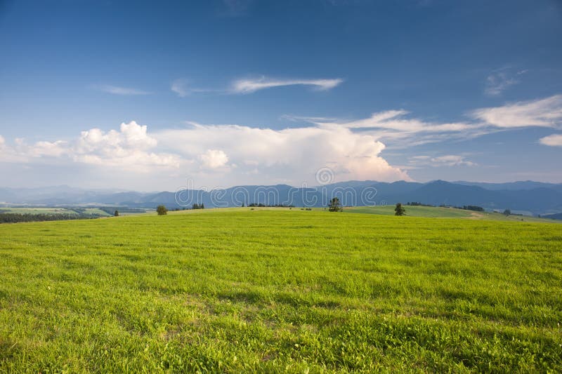 Blue green horizon stock photo. Image of tree, horizon - 15320616