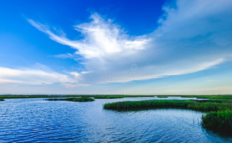 Blue and Green Marsh Land stock photo. Image of salt - 214653970
