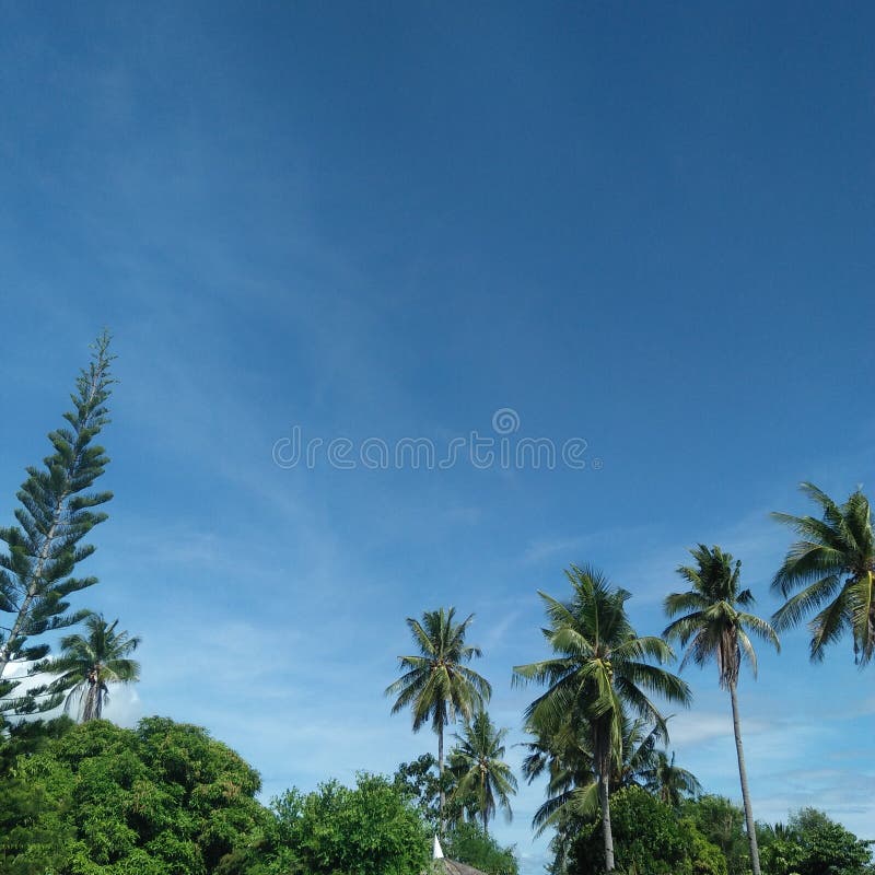 Blue and green stock image. Image of green, peace, love - 120340463