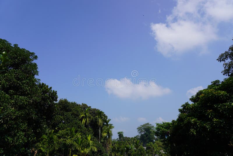 Blue green tree cloud . stock image. Image of land, austria - 265267675